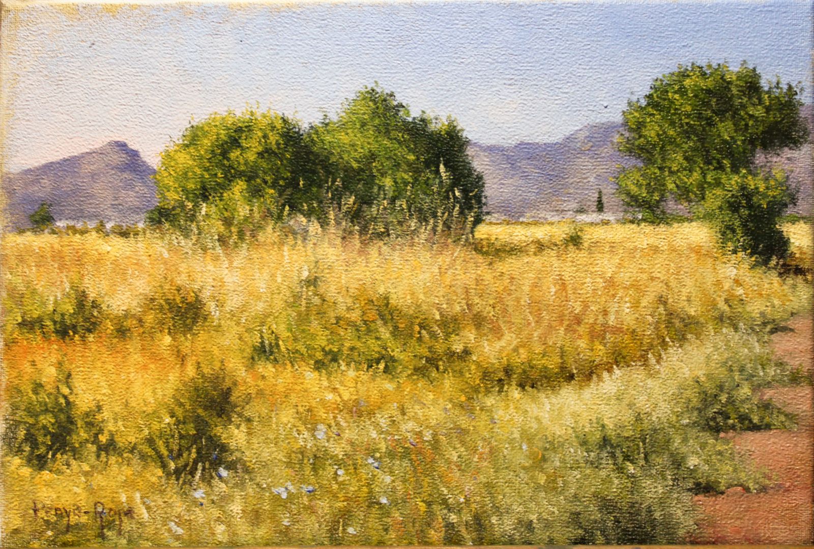 Penya-Roja,artista pintor independiente.Pintor valenciano realista